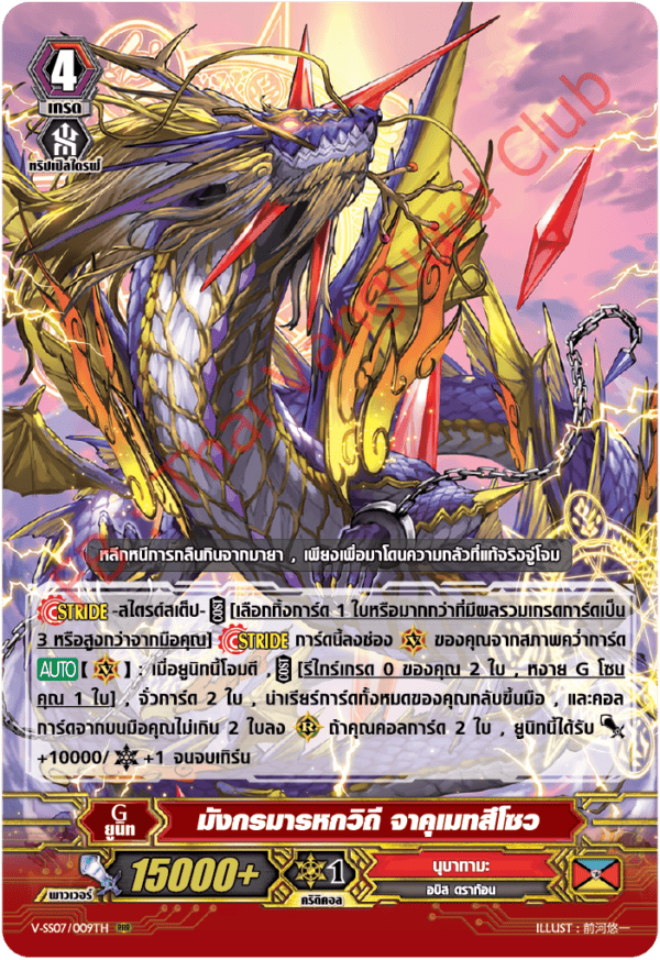 [V-SS07] VG-V-SS07 : PREMIUM COLLECTION 2020 - Vanguard